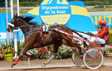 methodes turf et pronostics gagner plus trot plat obstacles | point ...